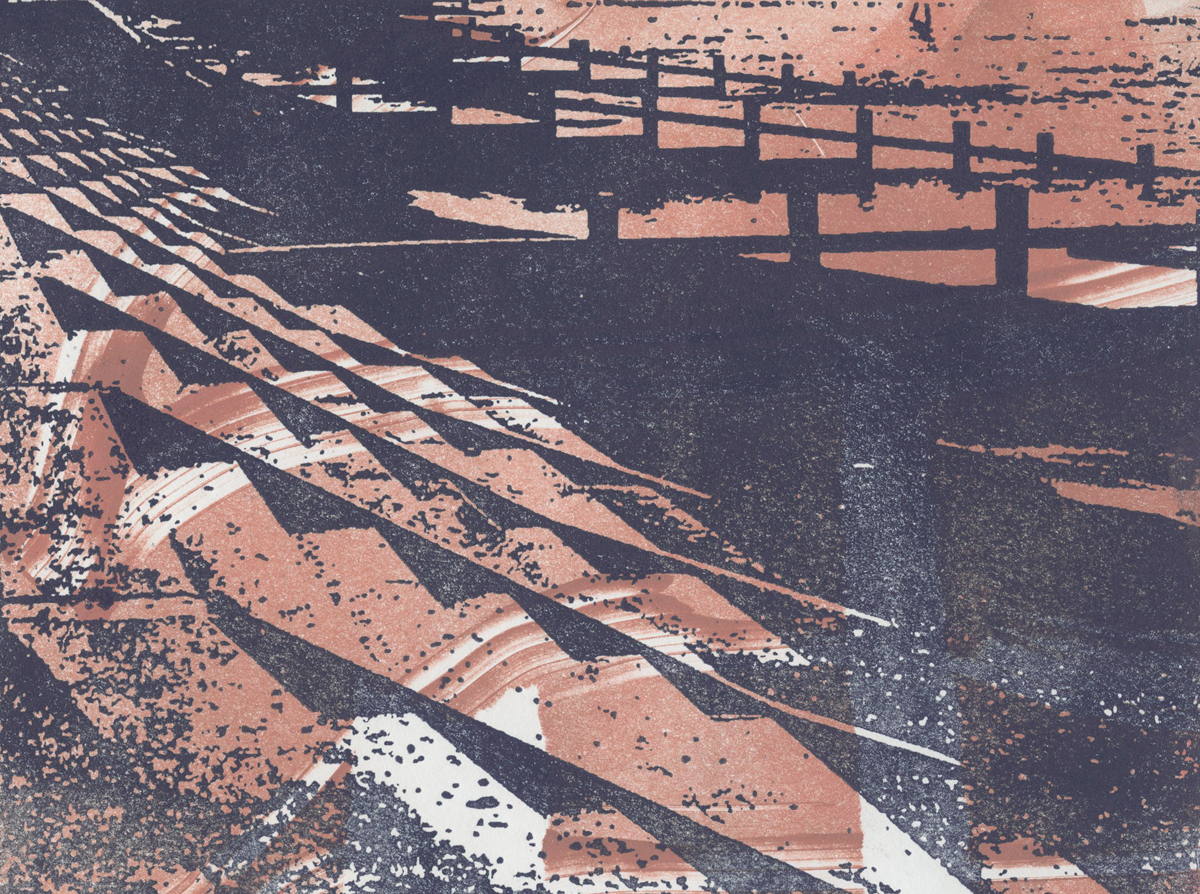 Anne Wilson Artist/Printmaker