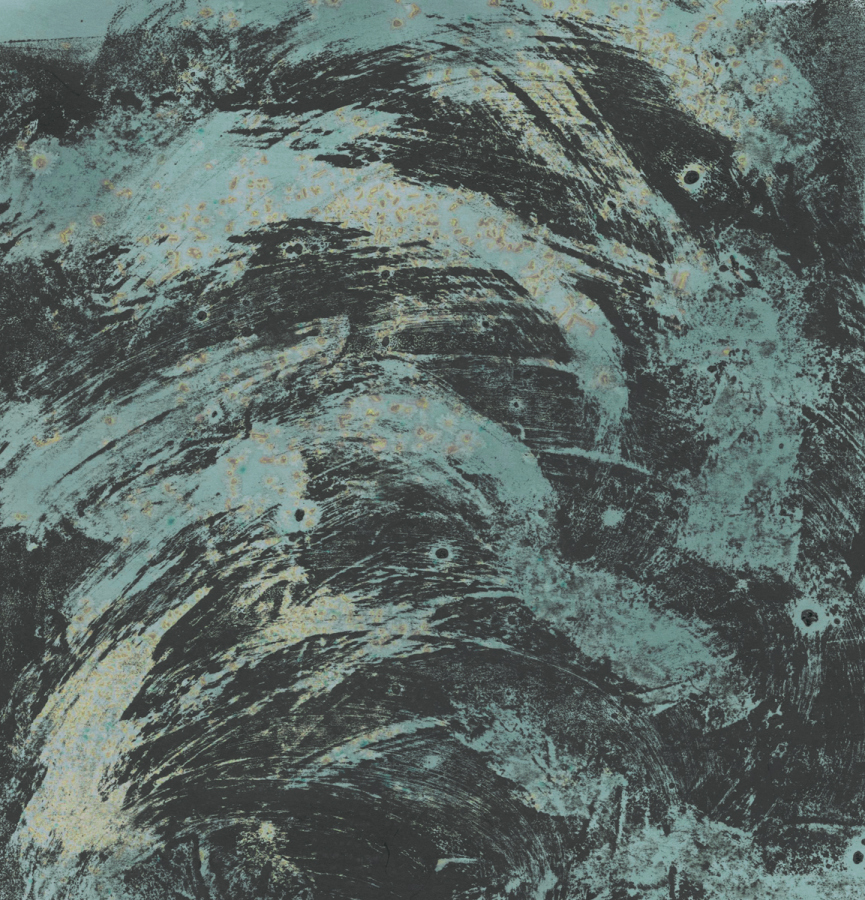 Anne Wilson Artist/Printmaker