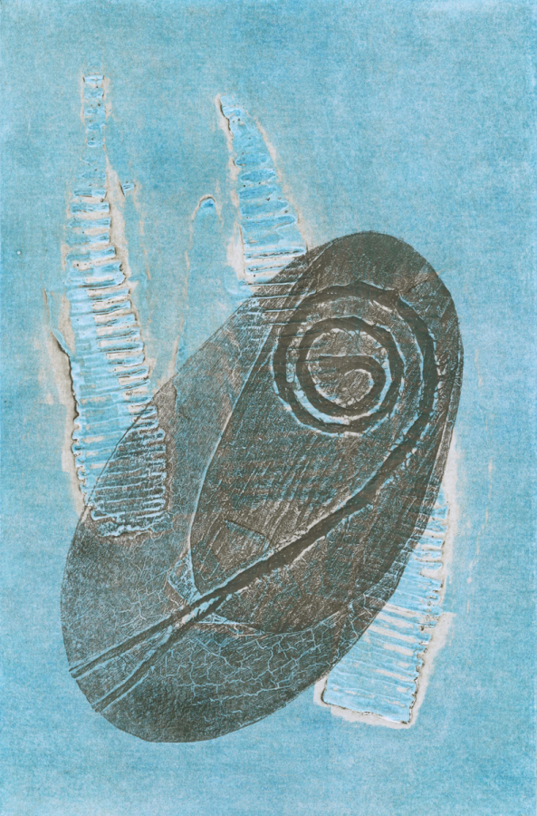 Anne Wilson Artist/Printmaker