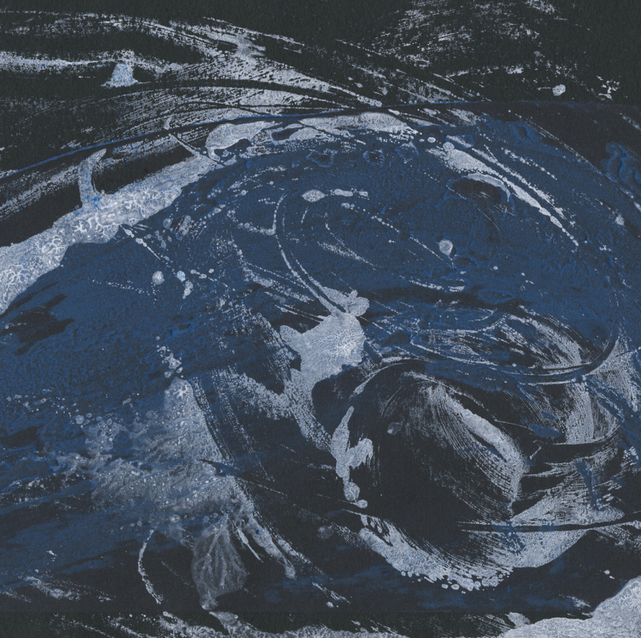 Anne Wilson Artist/Printmaker