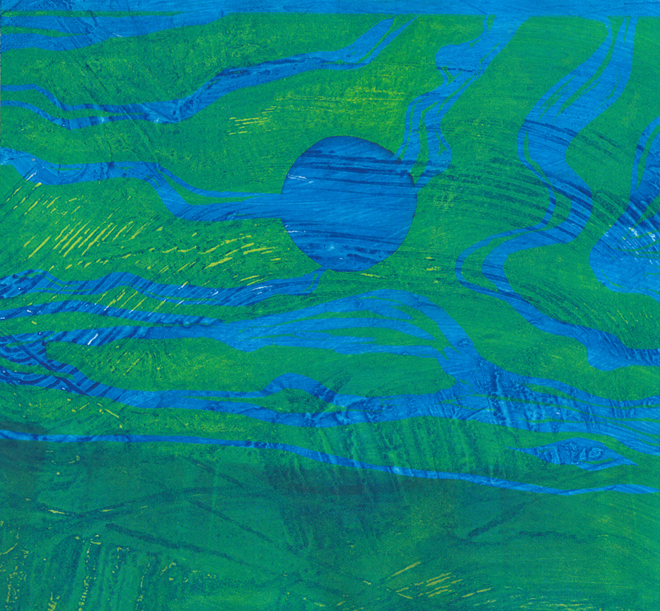 Anne Wilson Artist/Printmaker