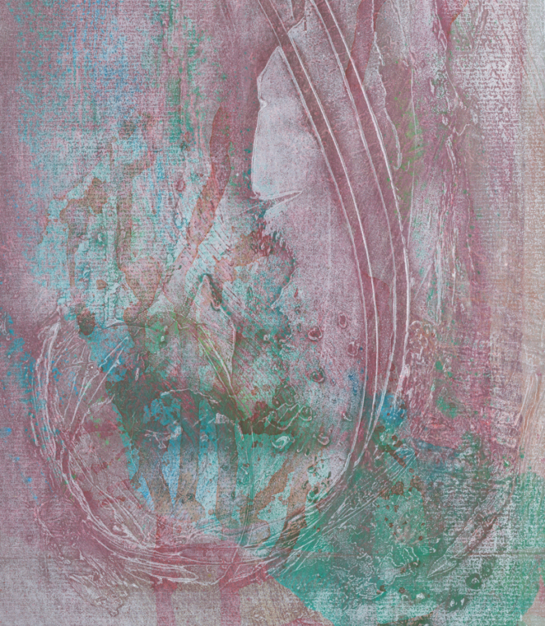 Anne Wilson Artist/Printmaker