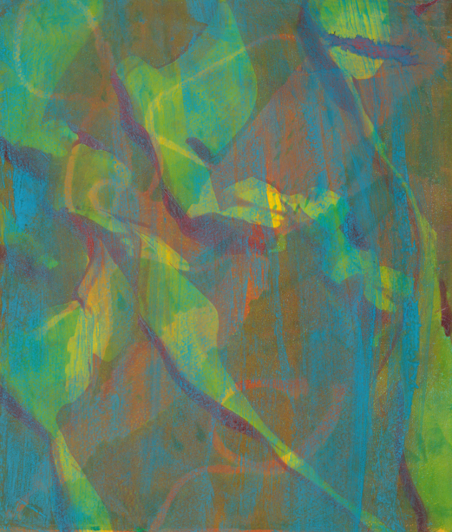 Anne Wilson Artist/Printmaker